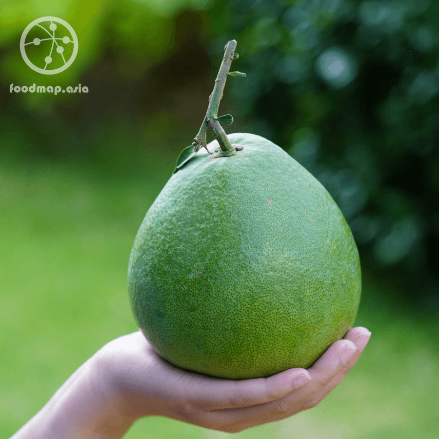 Bưởi Đường Lá Cam - Foodmap Fruits - Foodmap