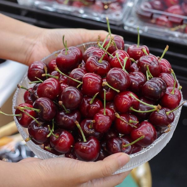 Cherry Úc Size 26+ - Foodmap Fruits - Foodmap