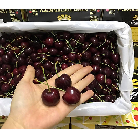 Cherry New Zealand - Foodmap Fruits - Foodmap